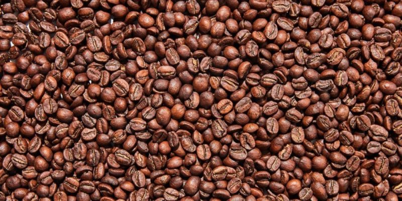 Products | Greenland Organic Farm's Himalayan Arabica Coffee