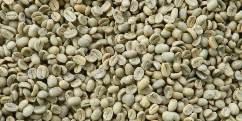 Products | Greenland Organic Farm's Himalayan Arabica Coffee